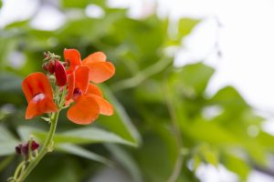 Aurinkoiselle ja paahteiselle paikalle Archives - Sivu 2 4:stä - Ritun ...